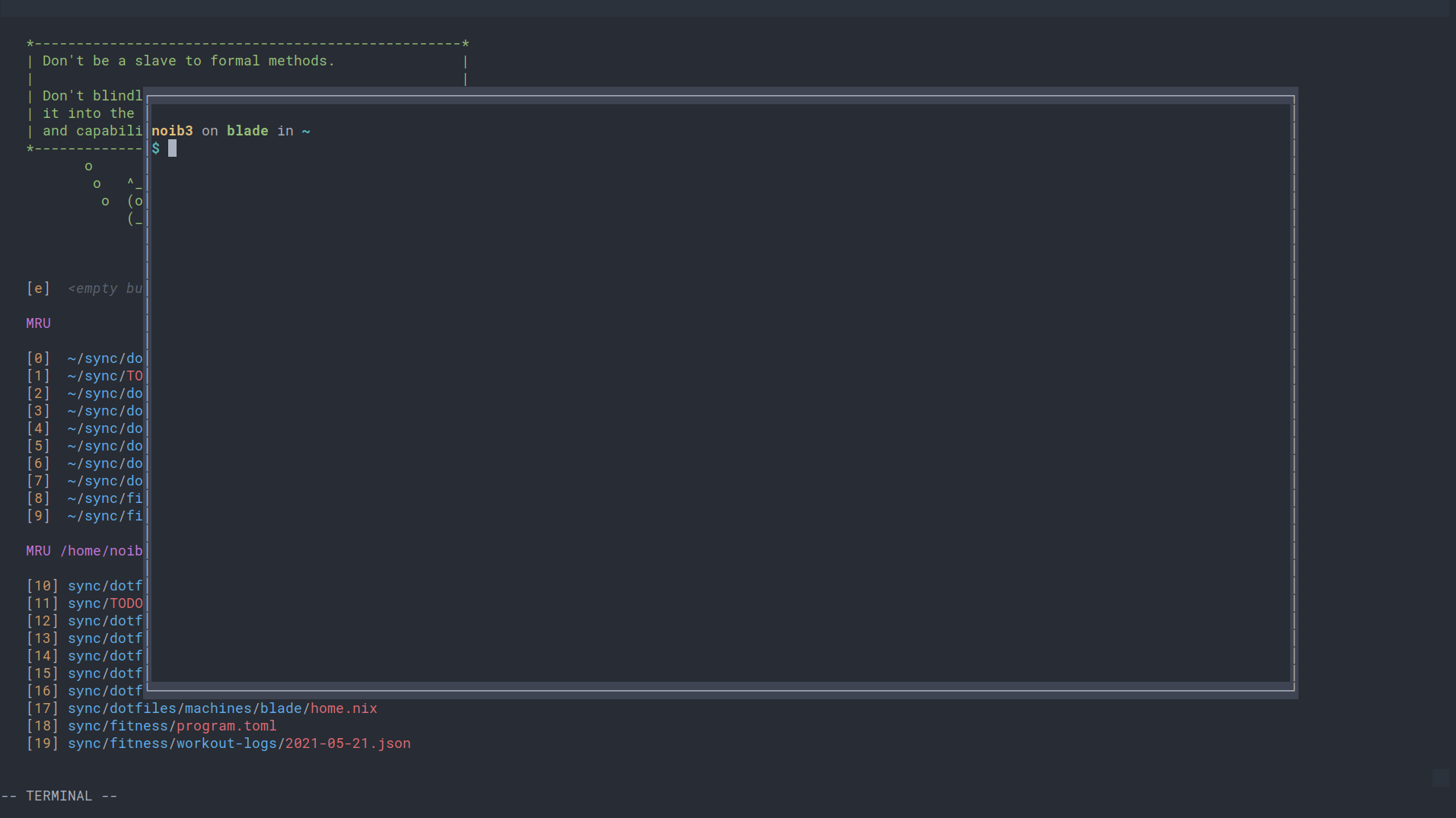 Automatically resizing floating terminal on `VimResized` event · Issue #296 · voldikss/vim ...