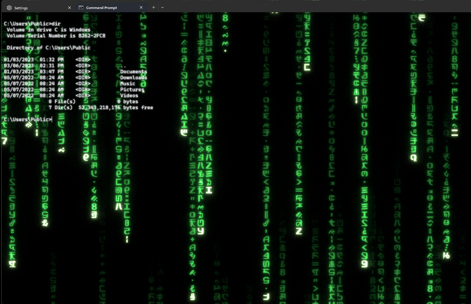 Set as Windows Terminal background · Issue #51 · Rezmason/matrix · GitHub