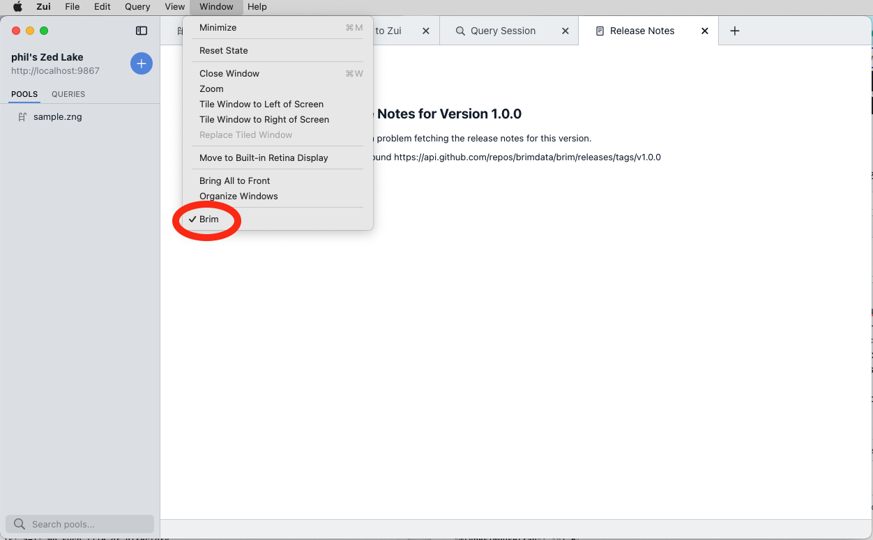 Brim Still Shows Up In Window Titles · Issue 2523 · Brimdata Zui · Github