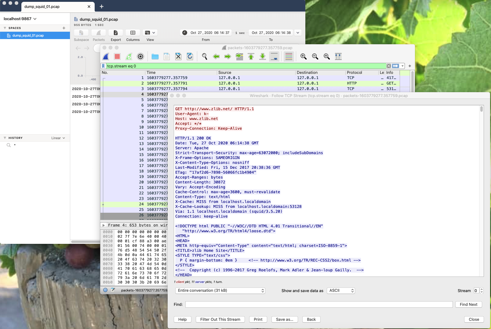 How To Extract The Packet From The Conn Of Zeek · Issue 1170 · Brimdatazui · Github