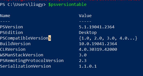 [Bug] · Issue #5397 · ScoopInstaller/Scoop · GitHub