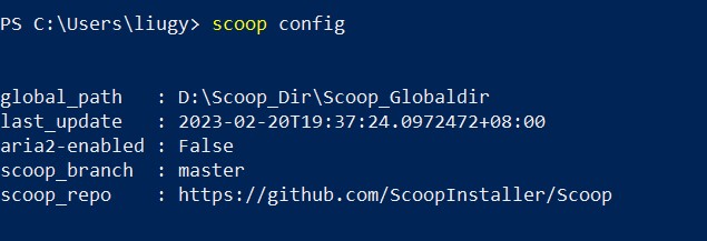 [Bug] · Issue #5397 · ScoopInstaller/Scoop · GitHub