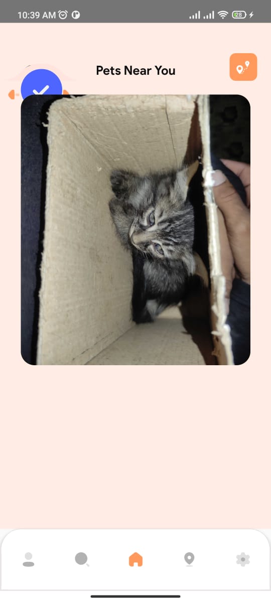 how make other components(such as views) render above cardstack · Issue ...