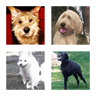 Github Kanelian63 Generative Dogs Images Gan Kaggle Vision Puppys
