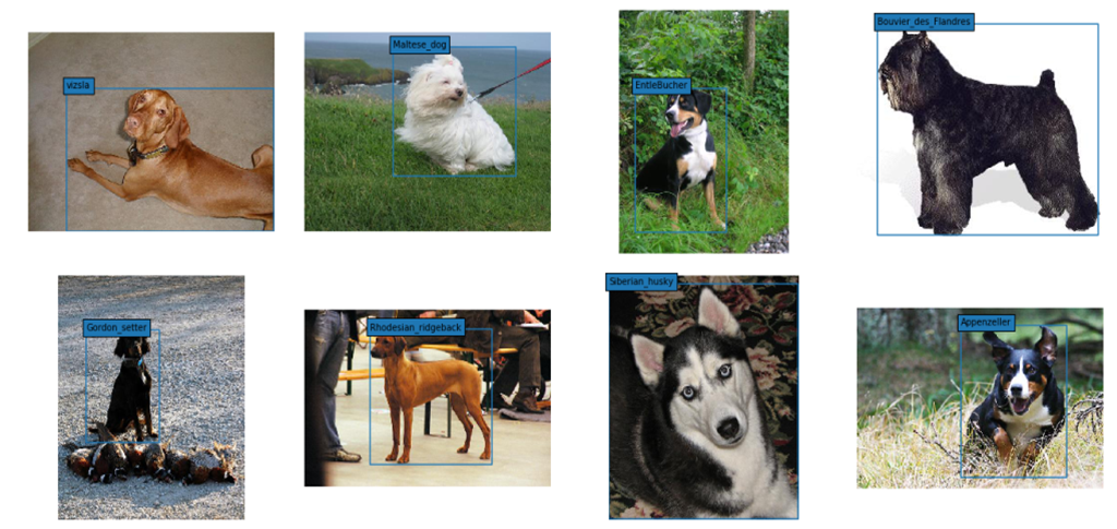 GitHub - kanelian63/Generative-Dogs-Images: #GAN #Kaggle #Vision #Puppys