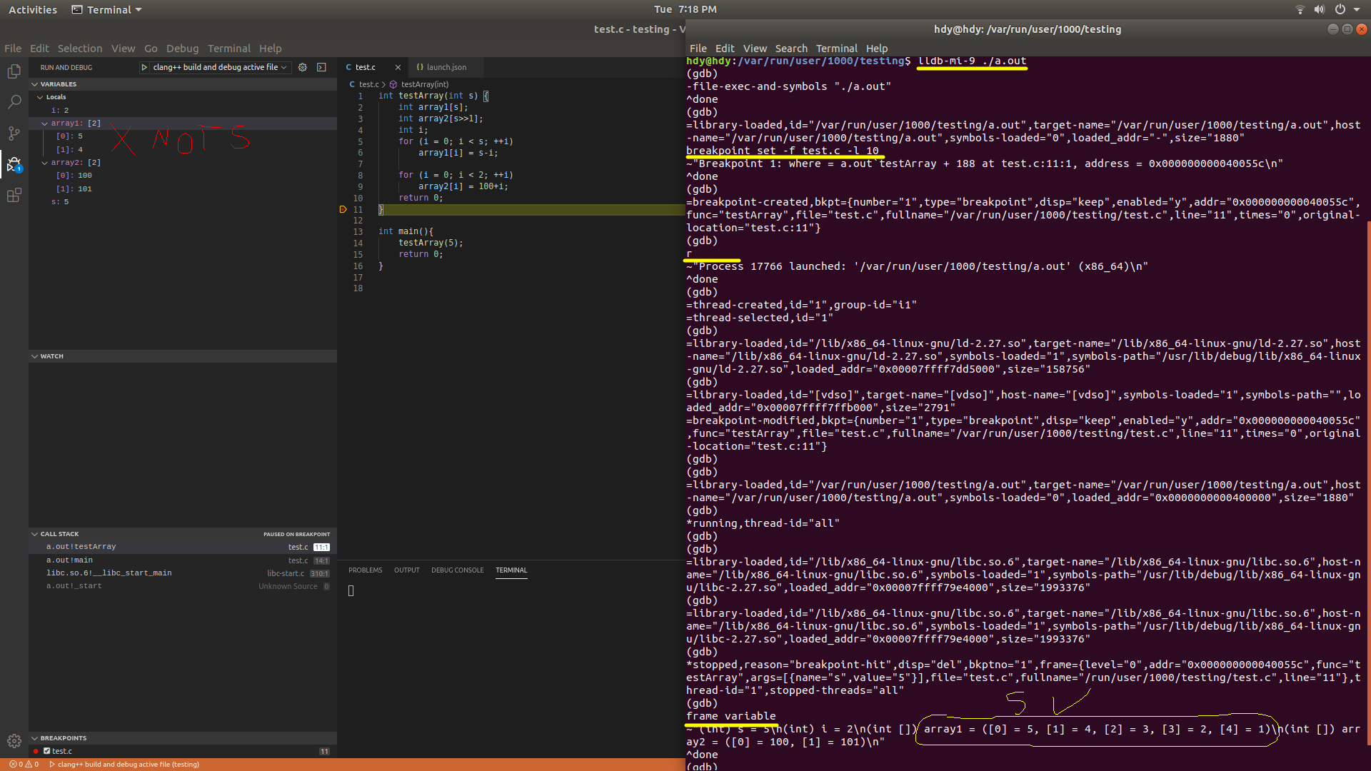 Array size error when using 2+ variable length arrays · Issue #4984 · microsoft/vscode-cpptools ...