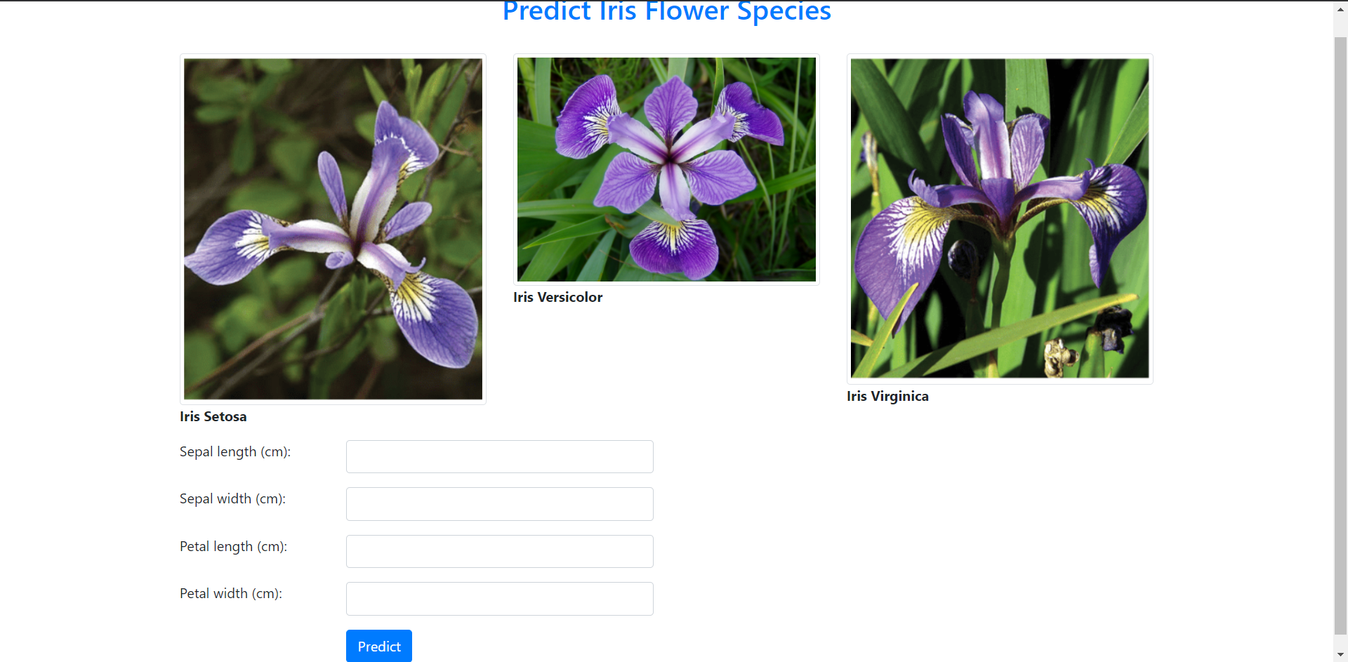 GitHub - DHaKK-SHeSH/Iris-Flower-Species-Prediction
