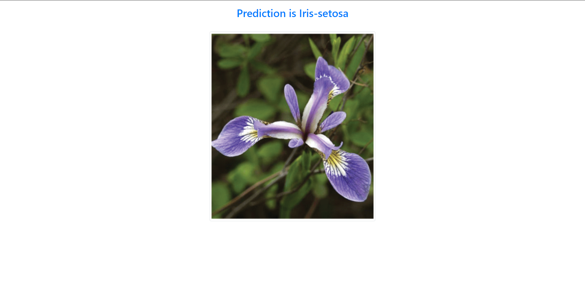 GitHub - DHaKK-SHeSH/Iris-Flower-Species-Prediction