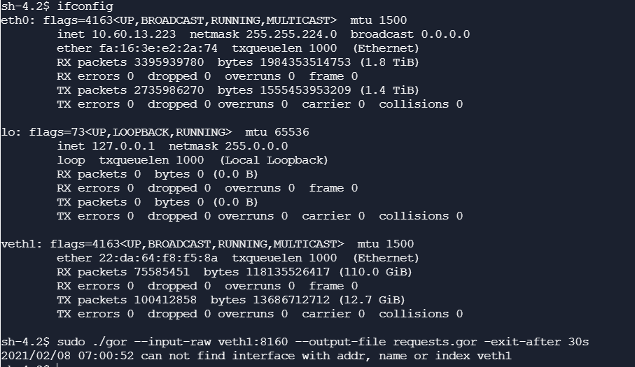 How do I use it in a Docker container? · Issue #899 · buger/goreplay · GitHub