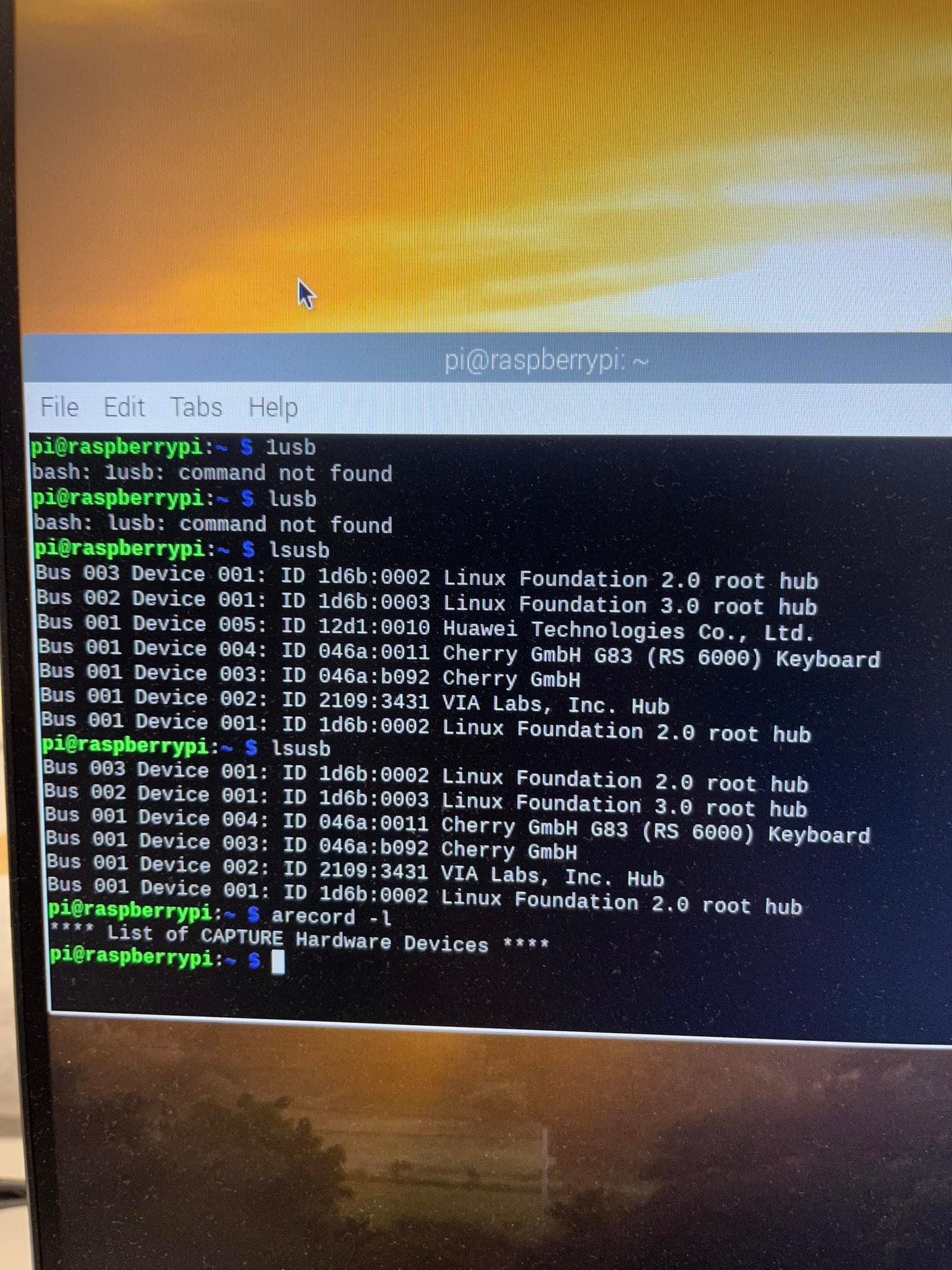 Problems with connecting the microphone · Issue #665 · mcguirepr89/BirdNET-Pi · GitHub