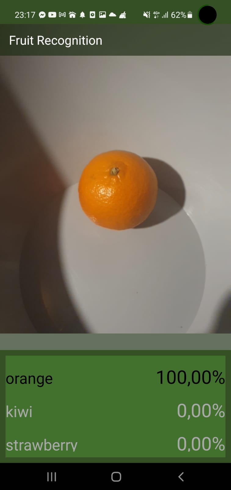 GitHub - vvvaaalll/FruitRecognition