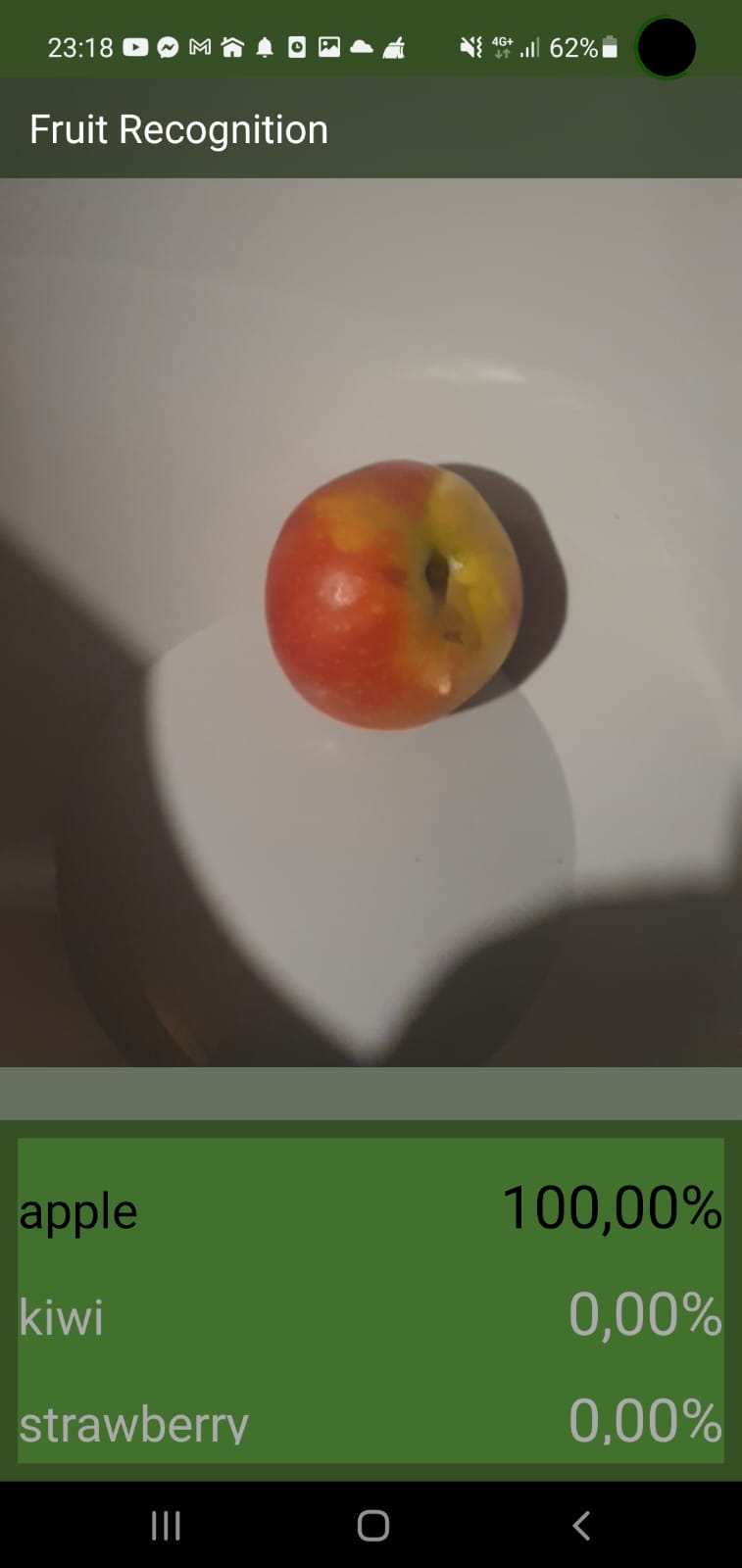 GitHub - vvvaaalll/FruitRecognition