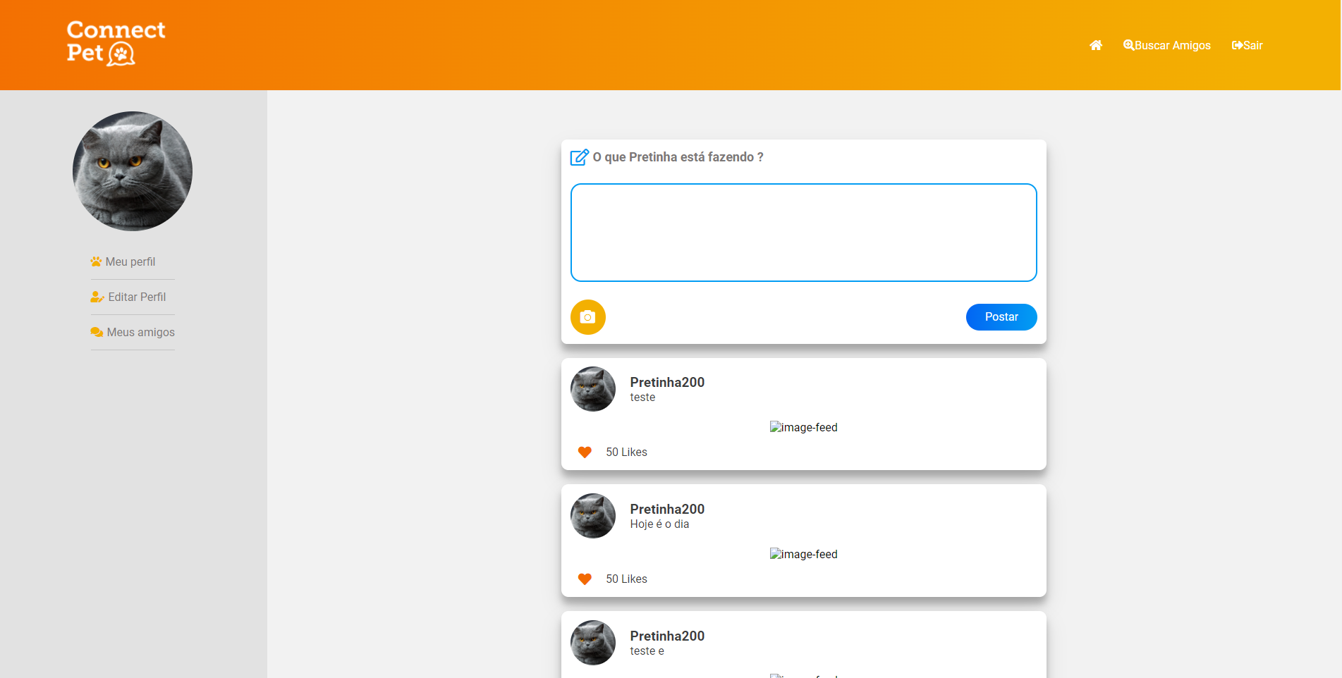 GitHub - AlvesBelem/connectPet