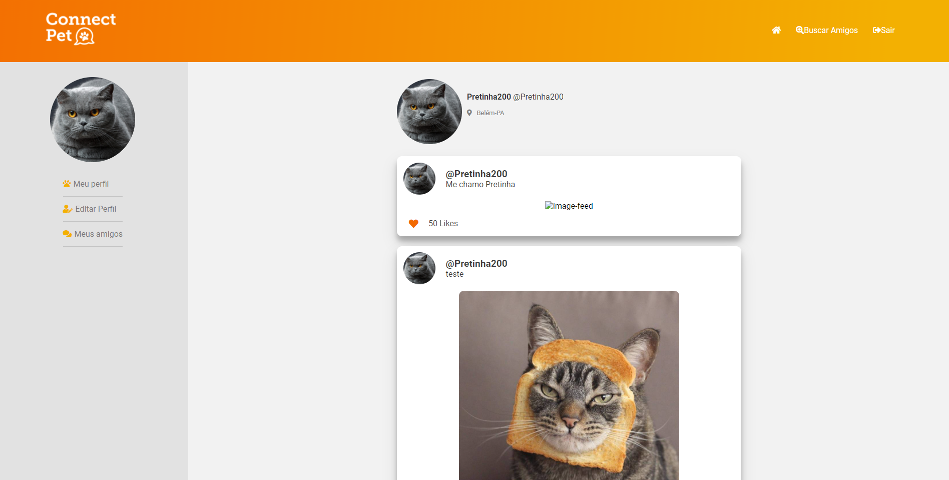 GitHub - AlvesBelem/connectPet