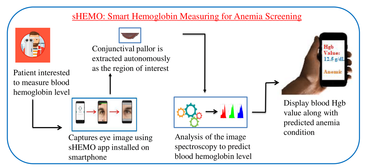 GitHub - sagnikgh1899/sHEMO