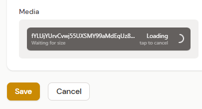 Image cannot be displayed in the admin panel · Issue #1118 · filamentphp/filament · GitHub