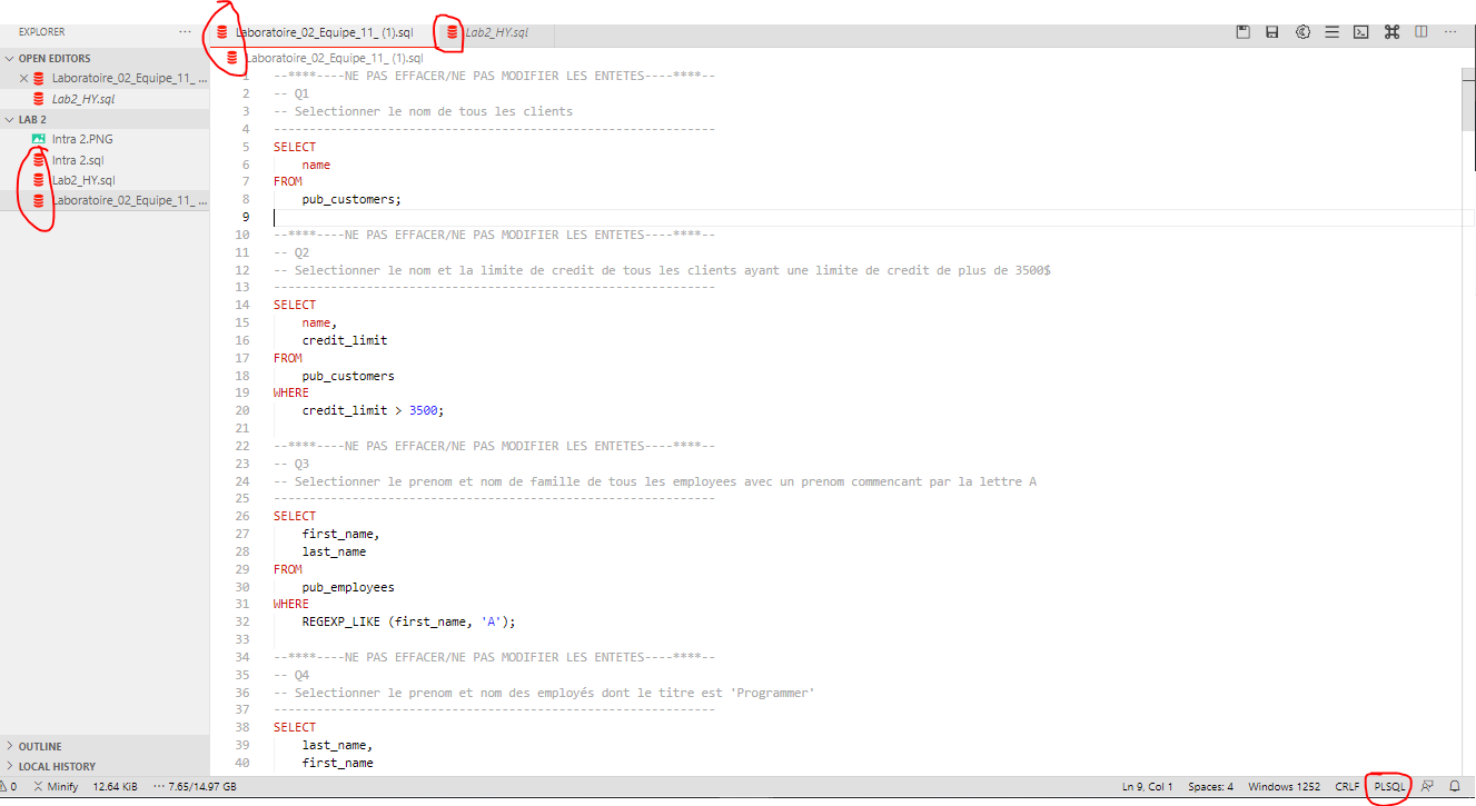 Oracle SQL files don't have icons · Issue #2745 · vscode-icons/vscode ...