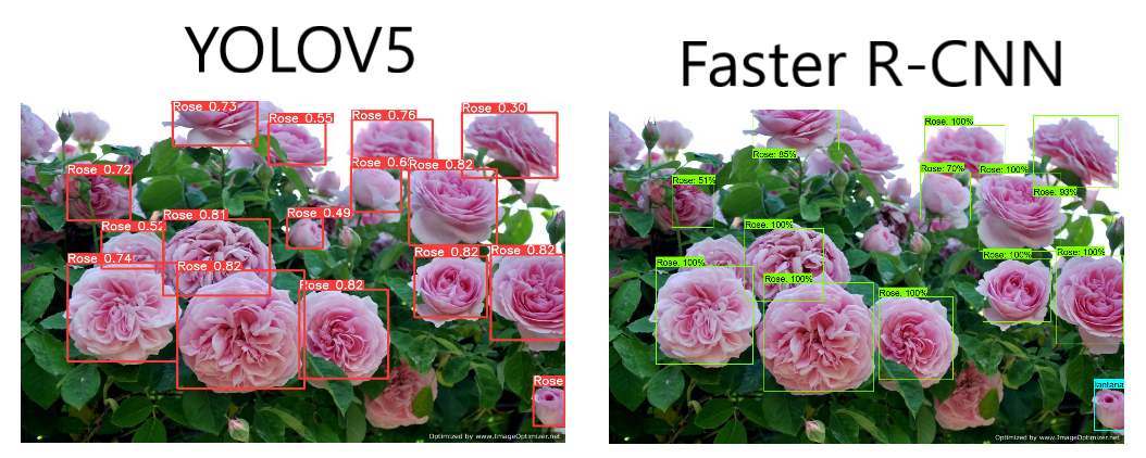 GitHub - atharvadumbre/Detection_Identification_Flowers: Detecting and ...