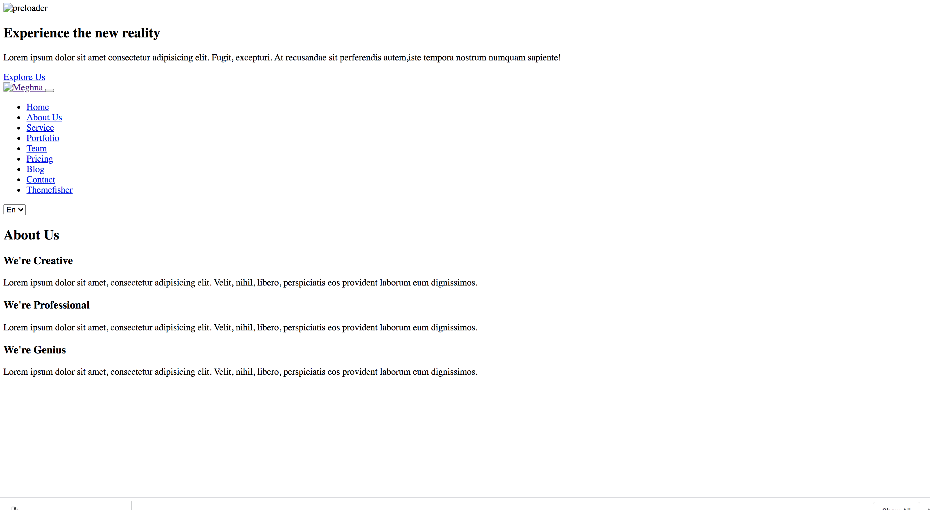Couldn't view CSS · Issue #129 · themefisher/meghna-hugo · GitHub