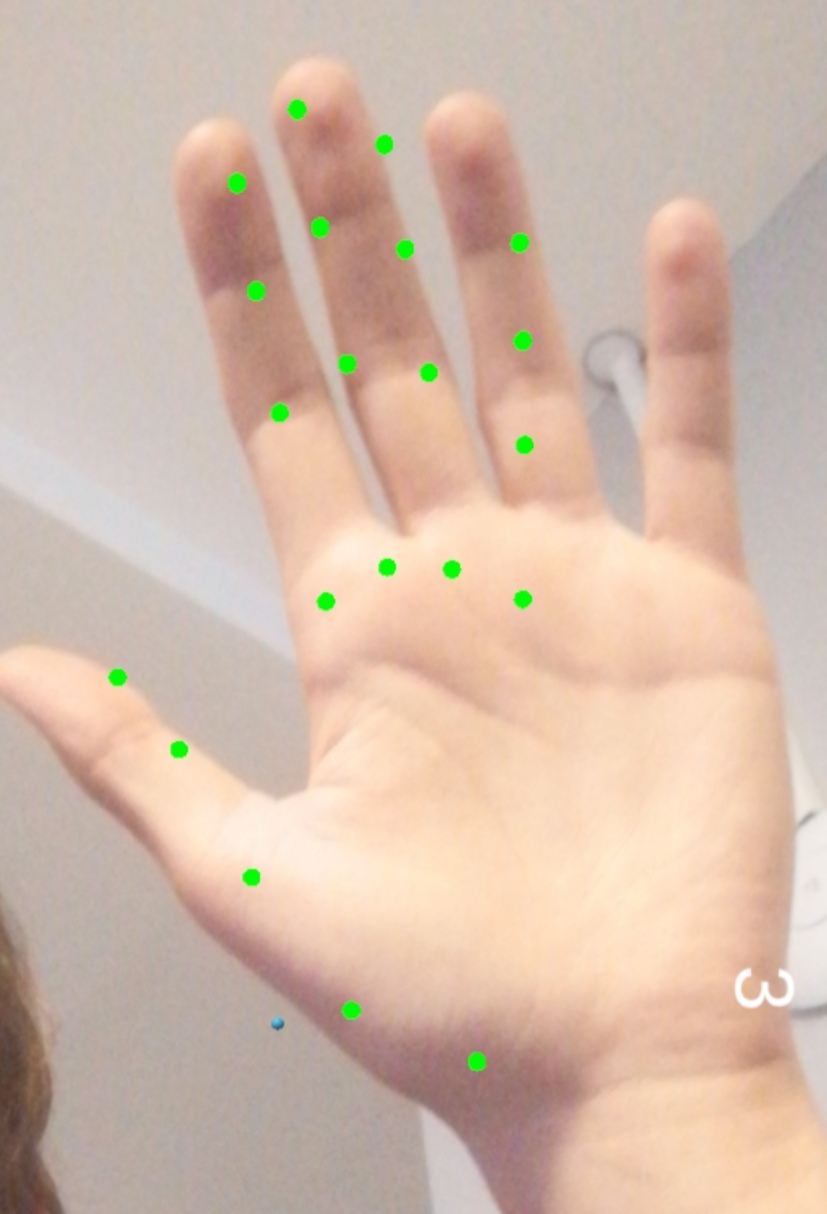 HandLandmark Positions Don't Map Correctly · Issue #780 · homuler/MediaPipeUnityPlugin · GitHub