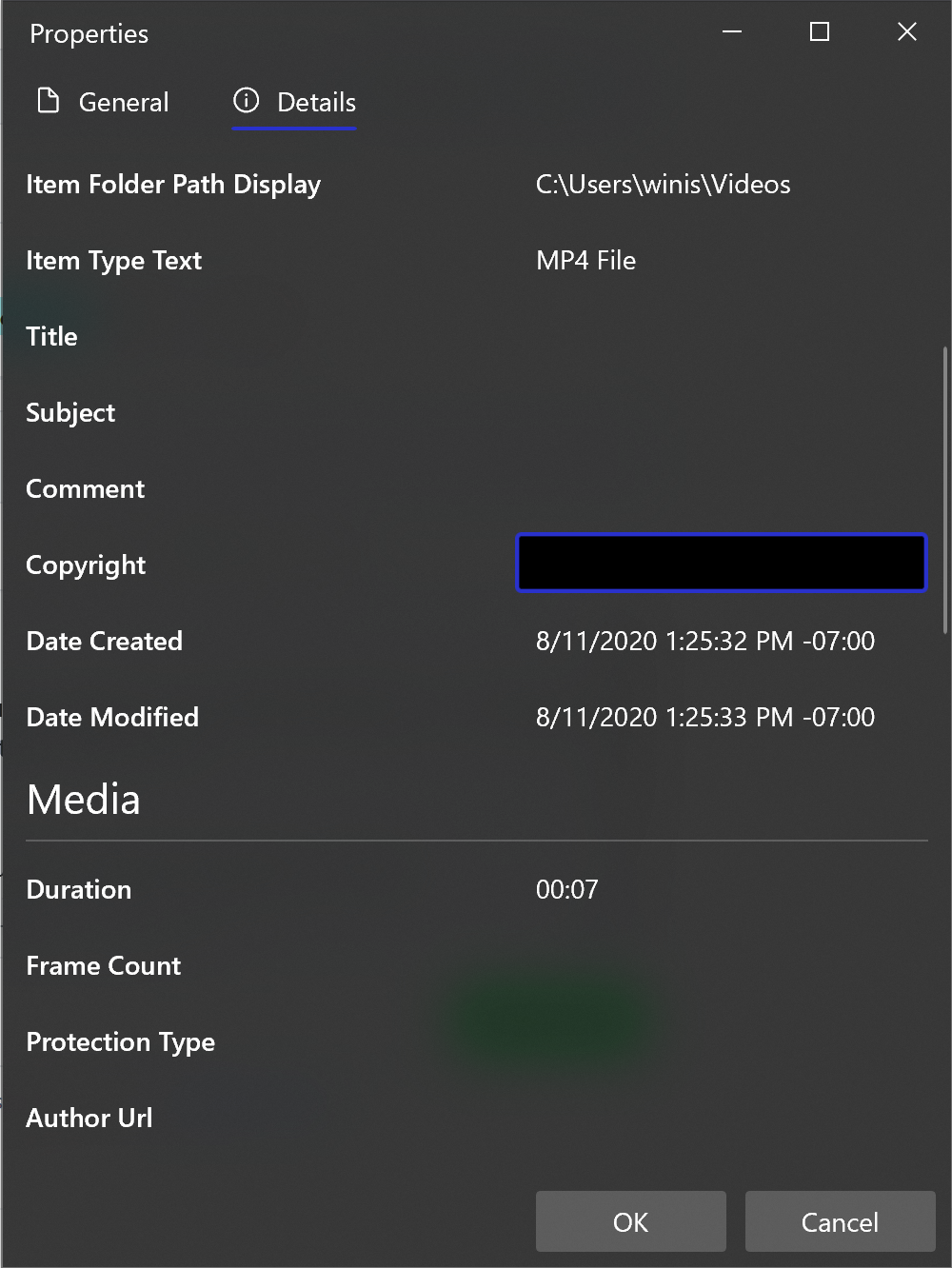 Show additional video info · Issue #1103 · files-community/Files · GitHub
