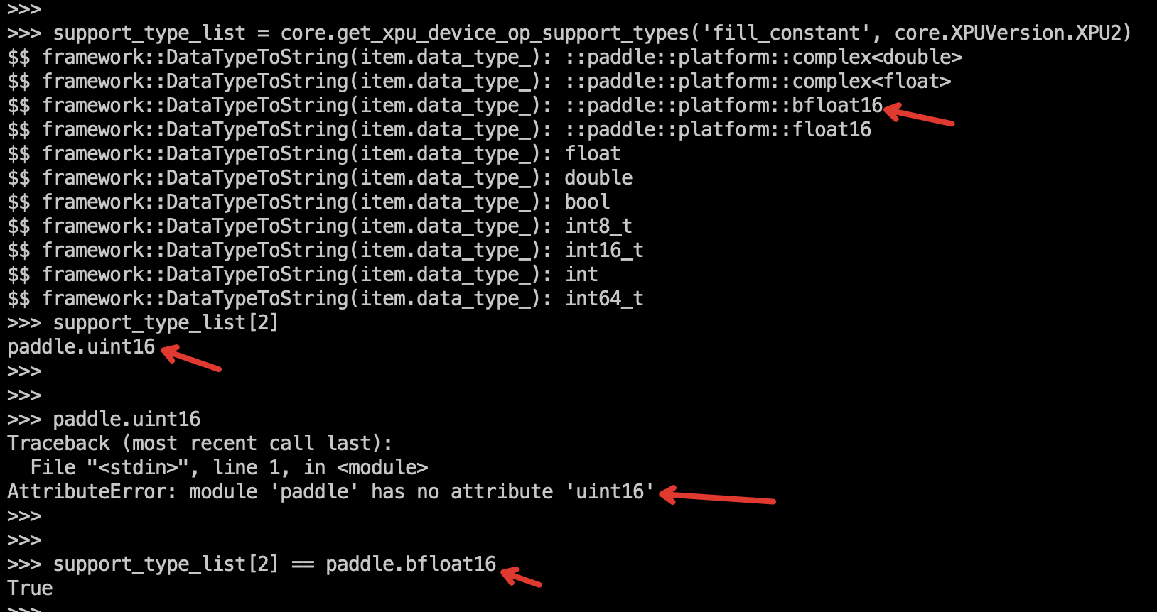 Attributeerror Module Paddle Has No Attribute Uint16 · Issue