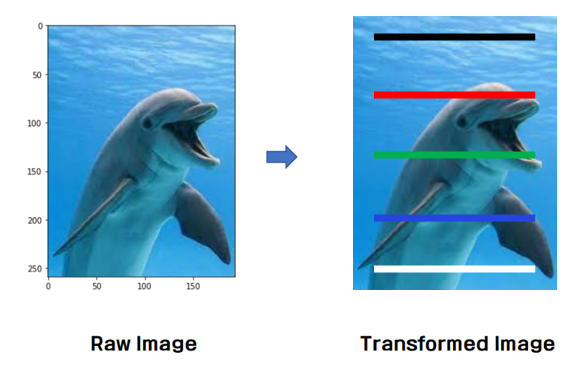 GitHub - VangsillEE/ComputerVision_Seminar: DNA Computer Vision Study