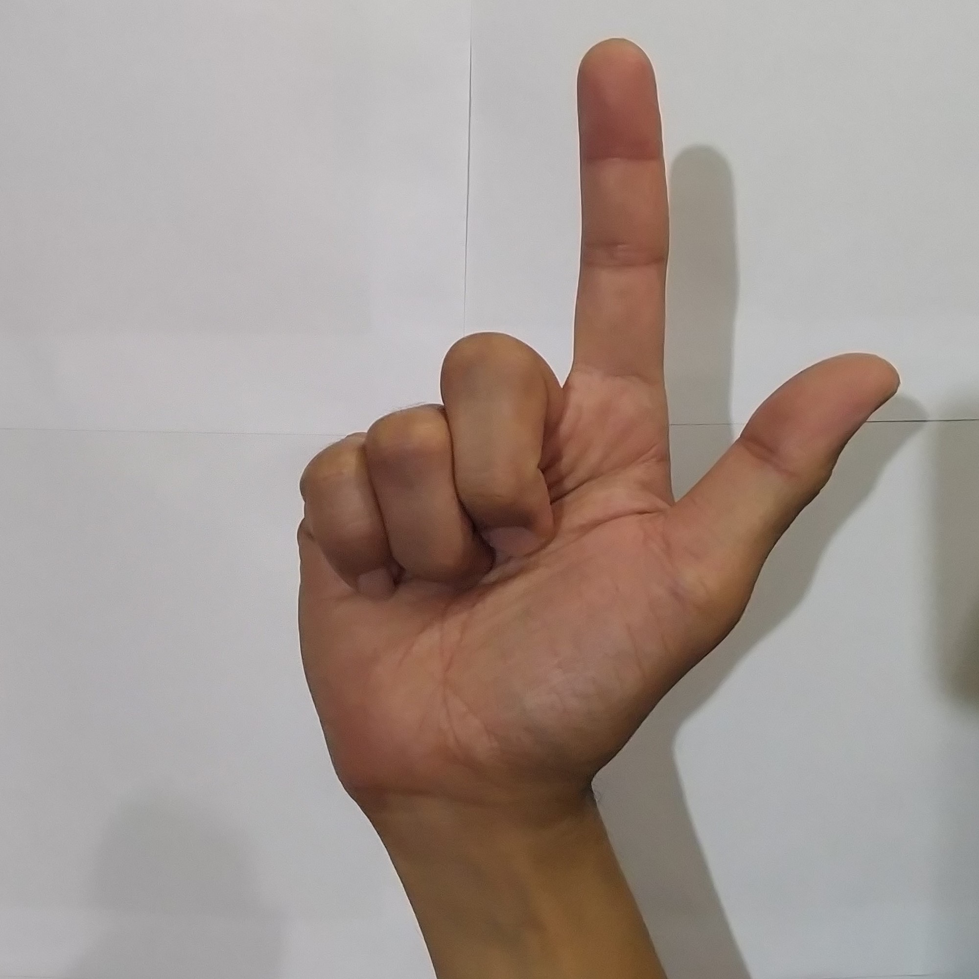 GitHub - Yogananda06/Computer-Controlling-Operations-using-Hand-Gestures