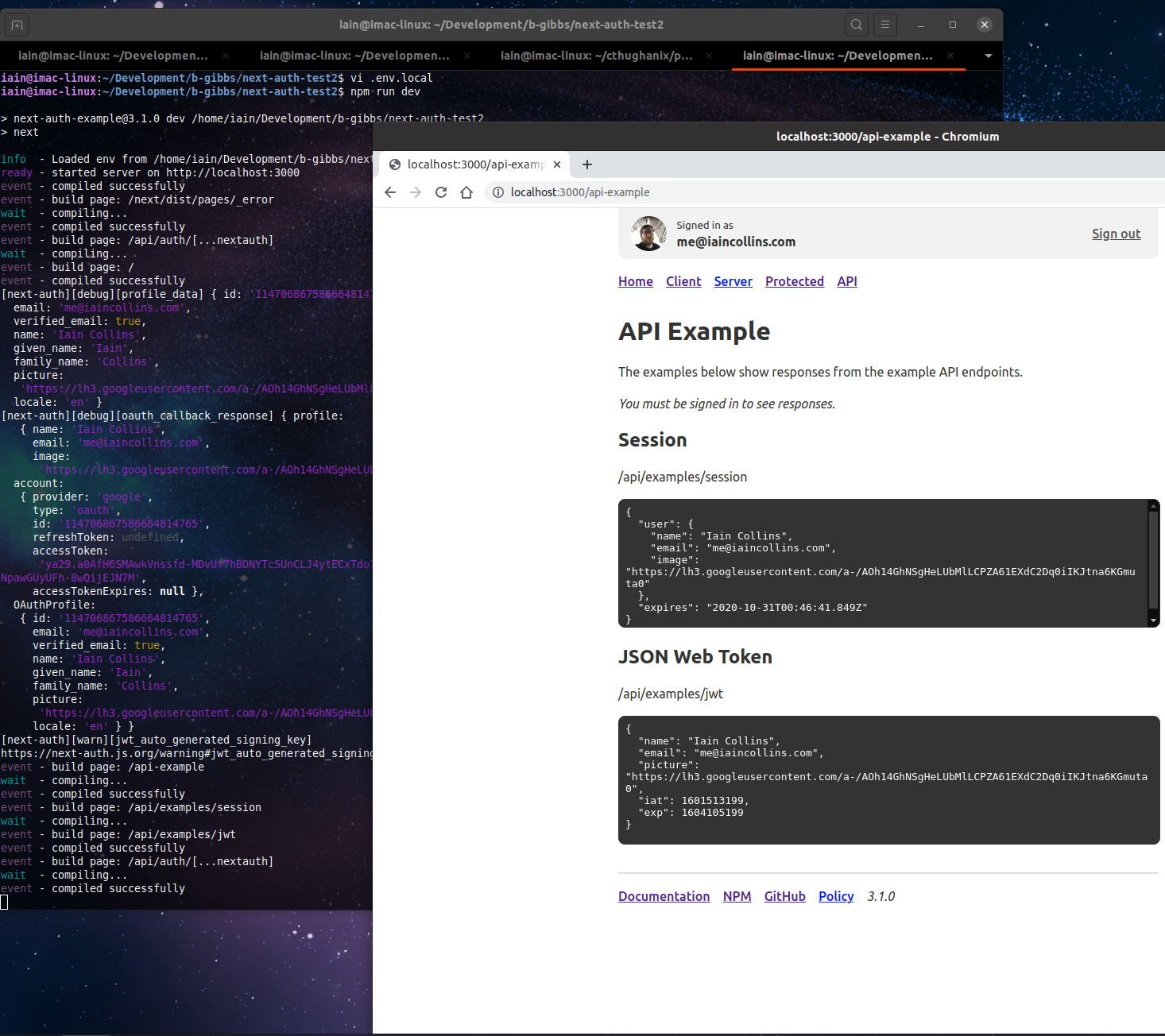Not getting a JWT on login with the Example App · Issue #715 · nextauthjs/next-auth · GitHub