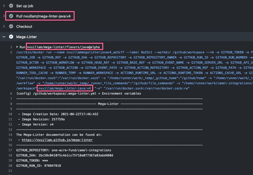 github status / pull request comment reporters not working · Issue #389 · oxsecurity/megalinter ...