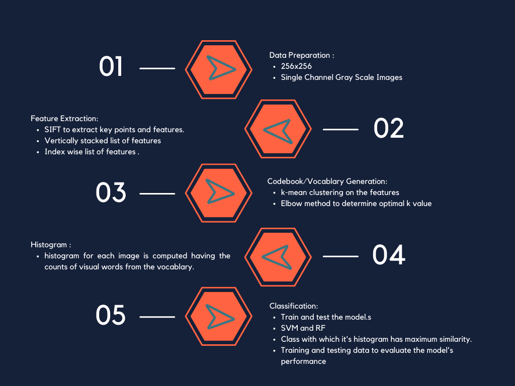 GitHub - Momna-Waheed/BoVW_Classification