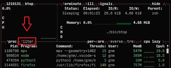 [REQUEST] Regular expression to filter process · Issue #387 · aristocratos/btop · GitHub