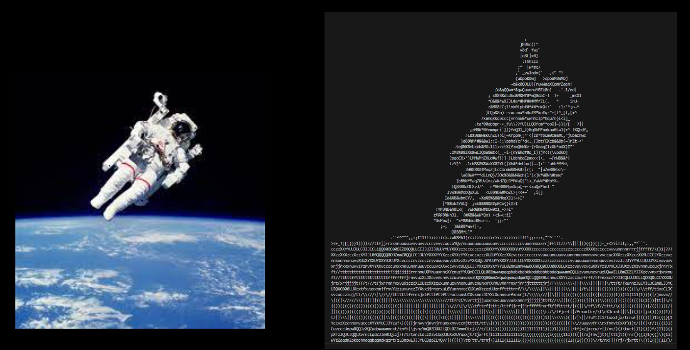 GitHub - ReedGoldsworthy/ASCII-Photo-Converter