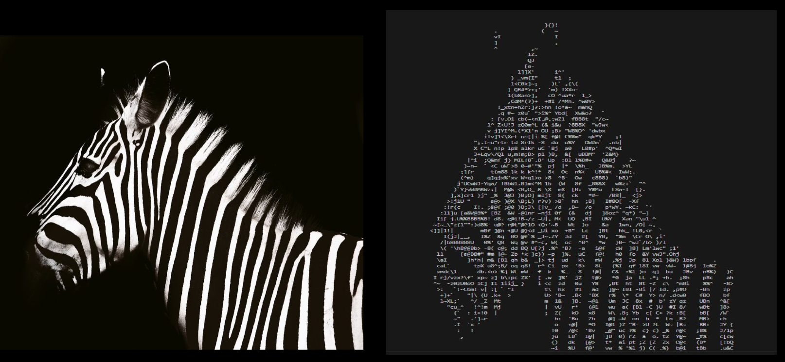 GitHub - ReedGoldsworthy/ASCII-Photo-Converter