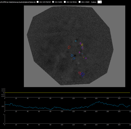 manual labeling issues · Issue #413 · MouseLand/suite2p · GitHub