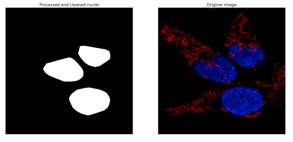 Types of RGB TIFF files CellCatcher will accept · Issue #1 · Mitogenie/Mito-Hacker · GitHub