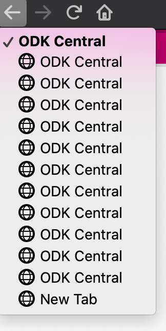 Update page title after navigation · Issue #333 · getodk/central-frontend · GitHub