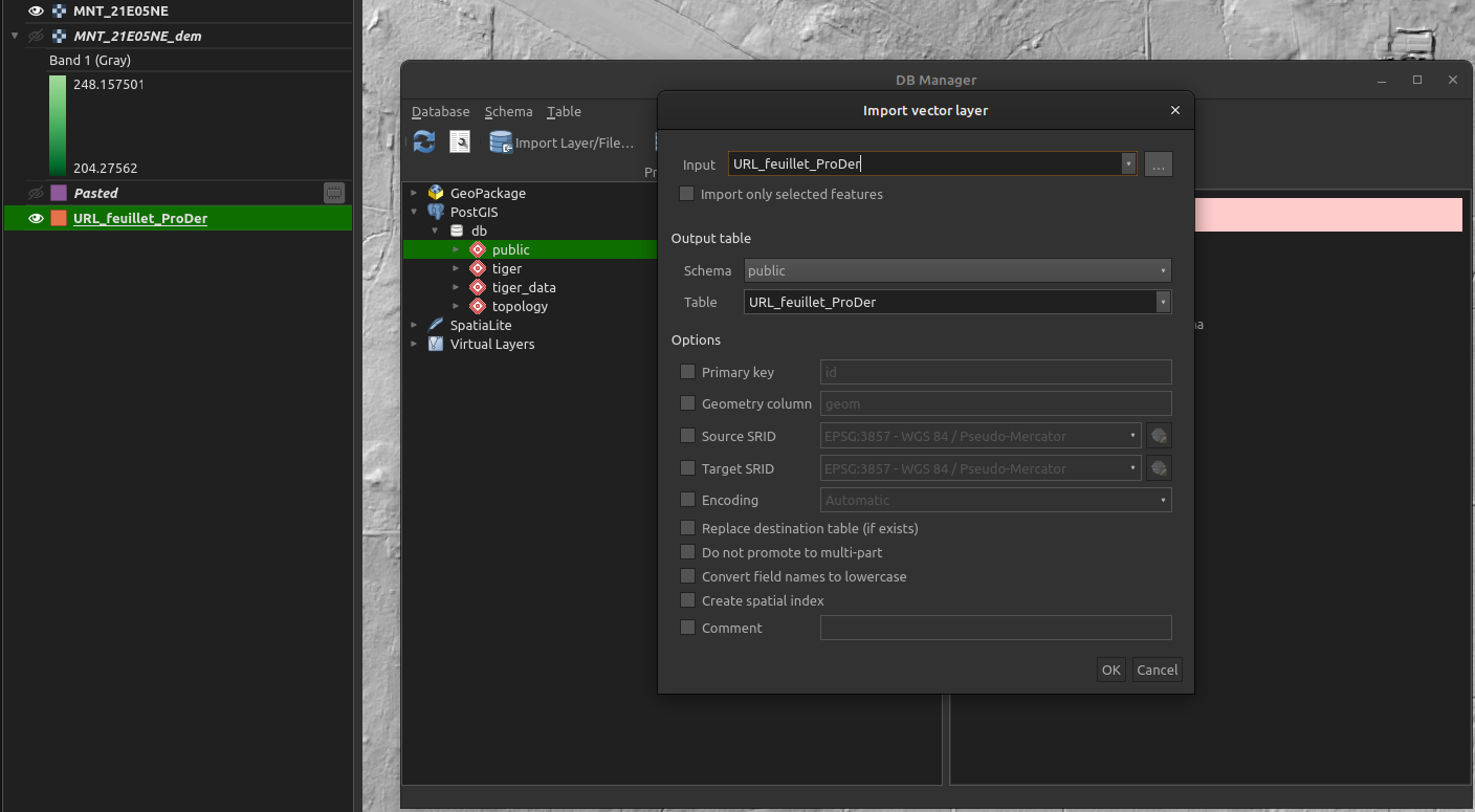 Set "Input" combo box index to the active layer when import a vector layer with DB Manager ...
