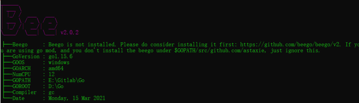 路由无法完全匹配，可能会给路由权限验证带来安全隐患 · Issue #4536 · beego/beego · GitHub