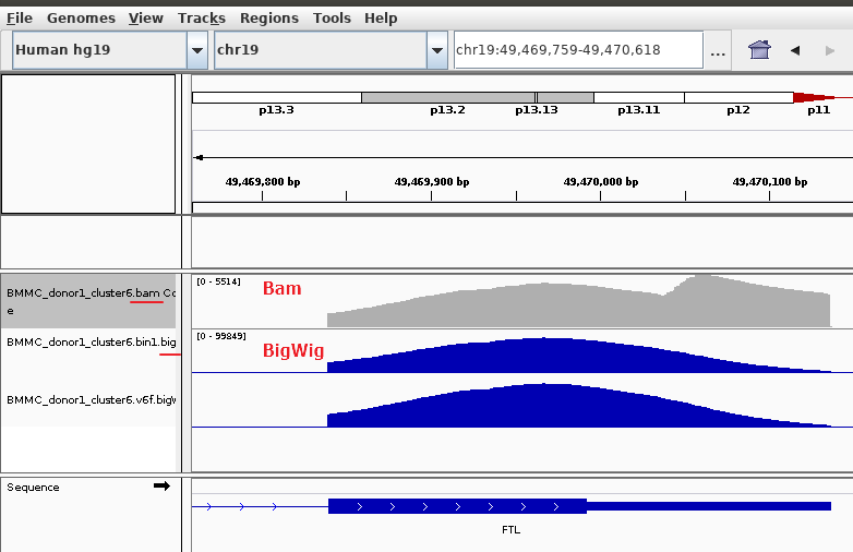 deeptools bam and bigwig peak not the same · Issue #1139 · deeptools/deepTools · GitHub