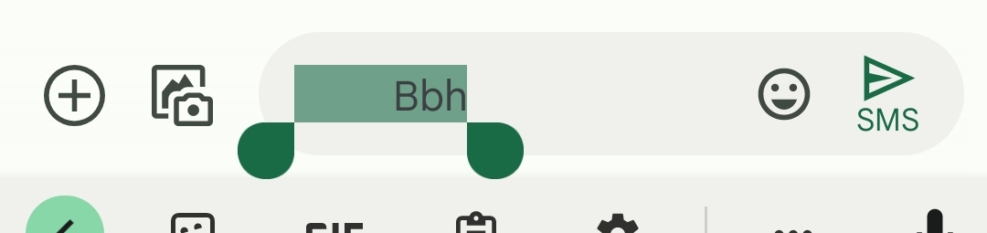 The Selection Highlight Should Expand For The Full Width Of The Input · Issue 105756 · Flutter