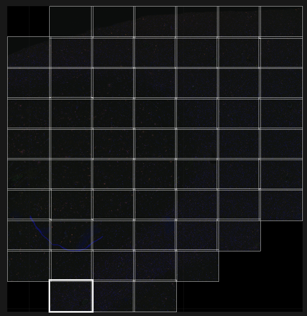 Process `registration:ashlar` terminated with an error exit status (1) · Issue #415 ...