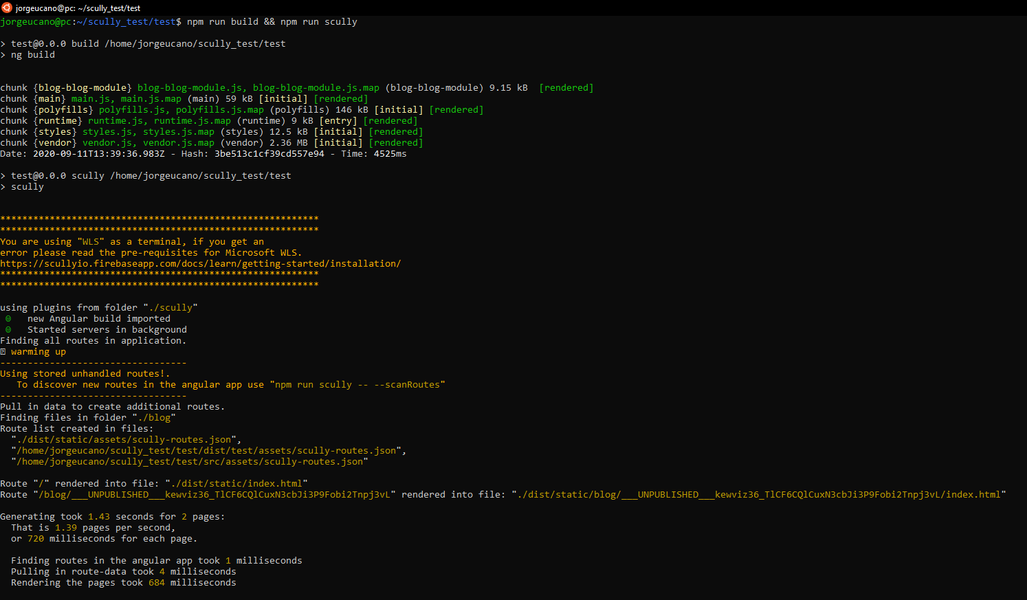 npm run scully hangs on Ubuntu WSL · Issue #844 · scullyio/scully · GitHub