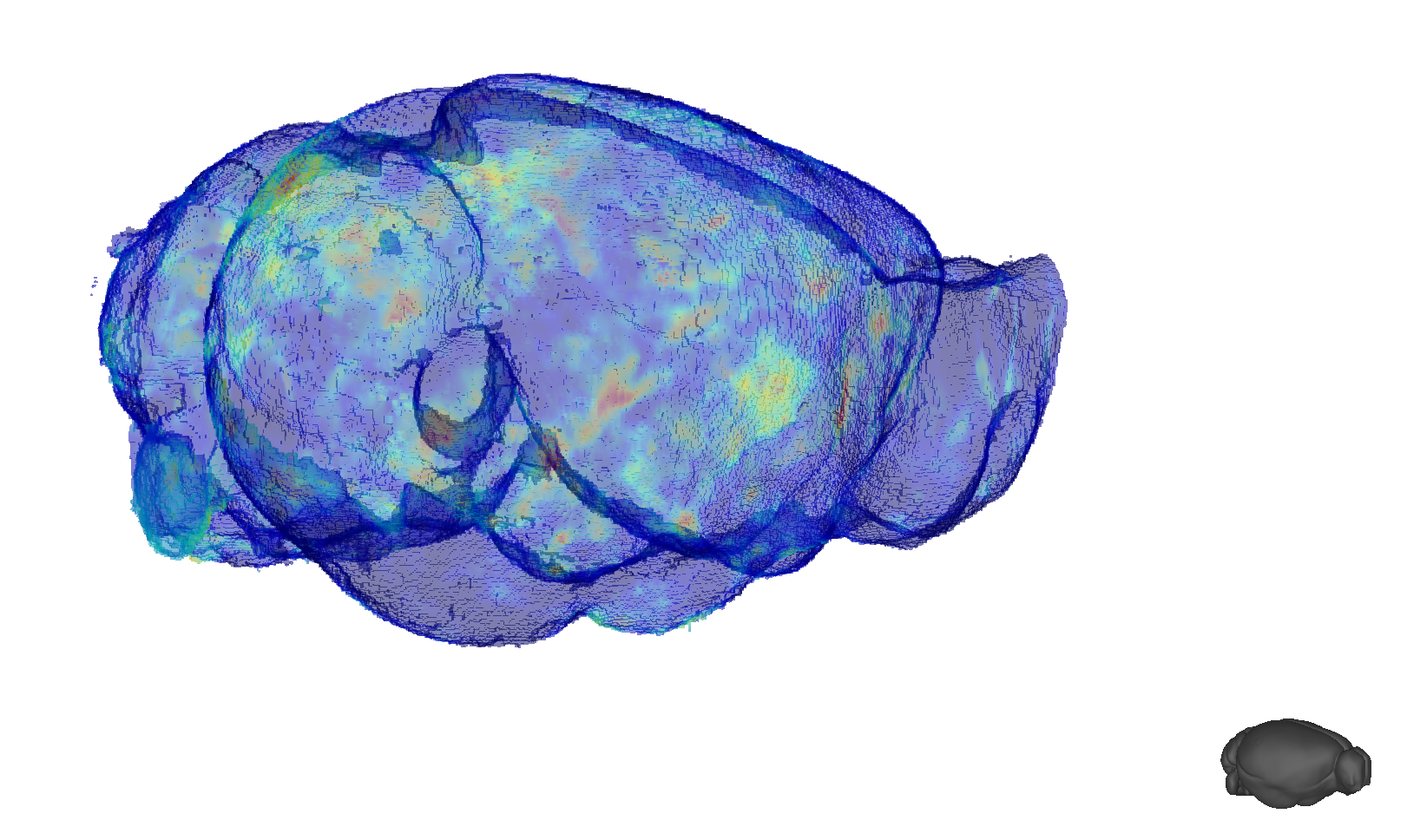 Render volumetric heatmaps on top of brain structures · Issue #107 · brainglobe/brainrender · GitHub