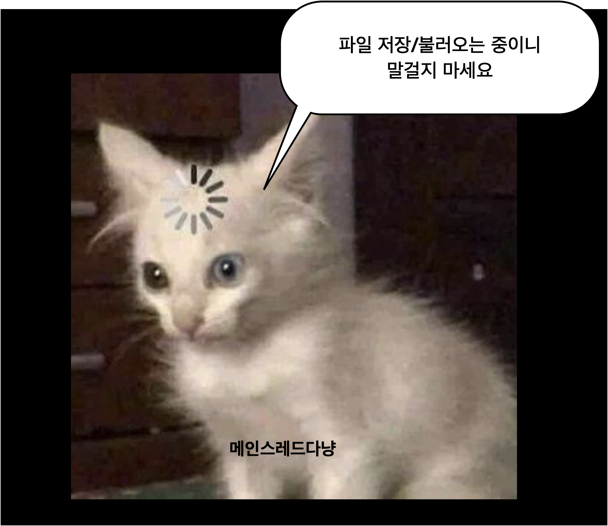 Github Qwerty3345 Easycloset 옷장 앱 개인 프로젝트