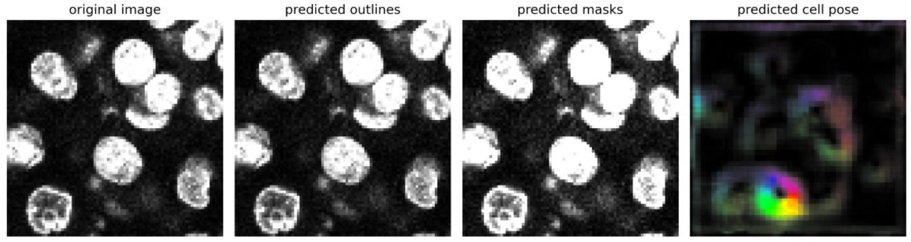 3D model evaluation: no labels in mask · Issue #260 · MouseLand/cellpose · GitHub