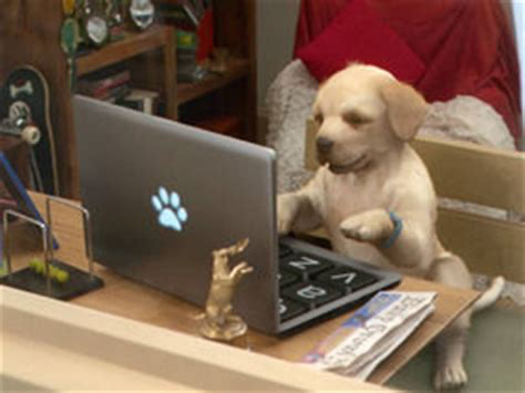 GitHub - Camargovf/Algoritmo-java00: Algoritmo feito em java.