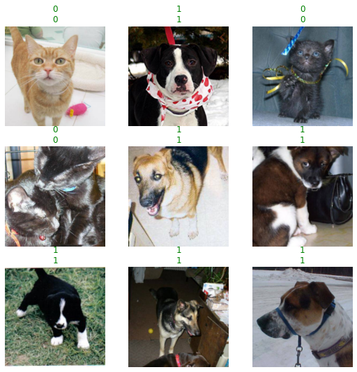 GitHub - pangpang-1234/basic-cats-dogs-classification-fastai