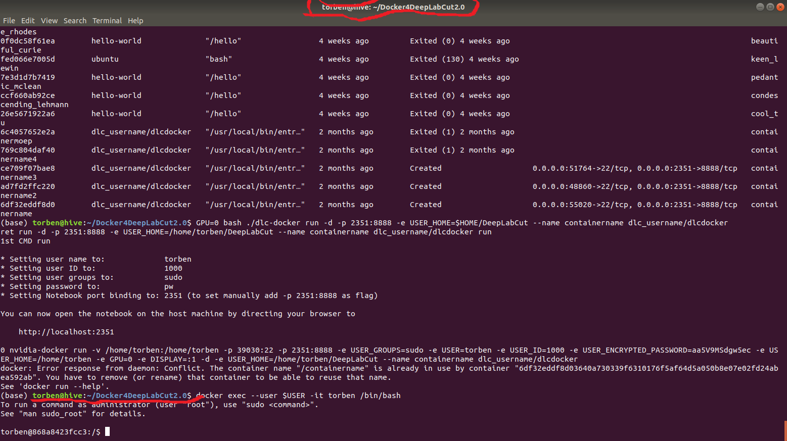 GPU not used [how to user docker] · Issue #546 · DeepLabCut/DeepLabCut ...