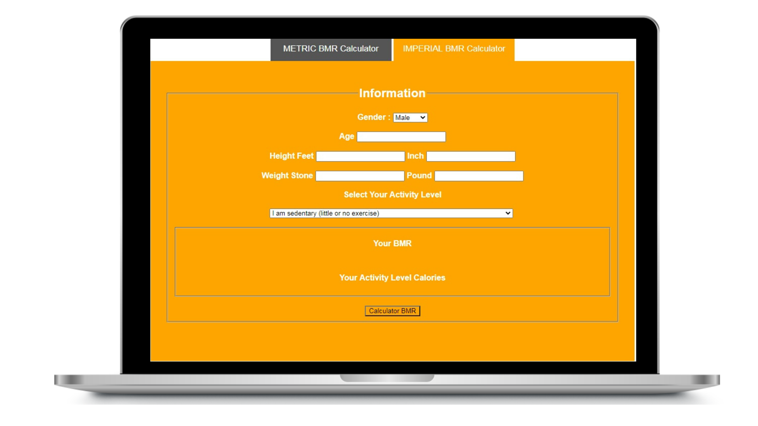 GitHub - Edennyk/BMRCalculator: Academic Project: BMR Calculator
